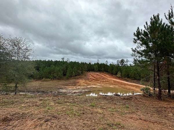 73 Acres of Land for Sale in Ramer, Alabama - LandSearch