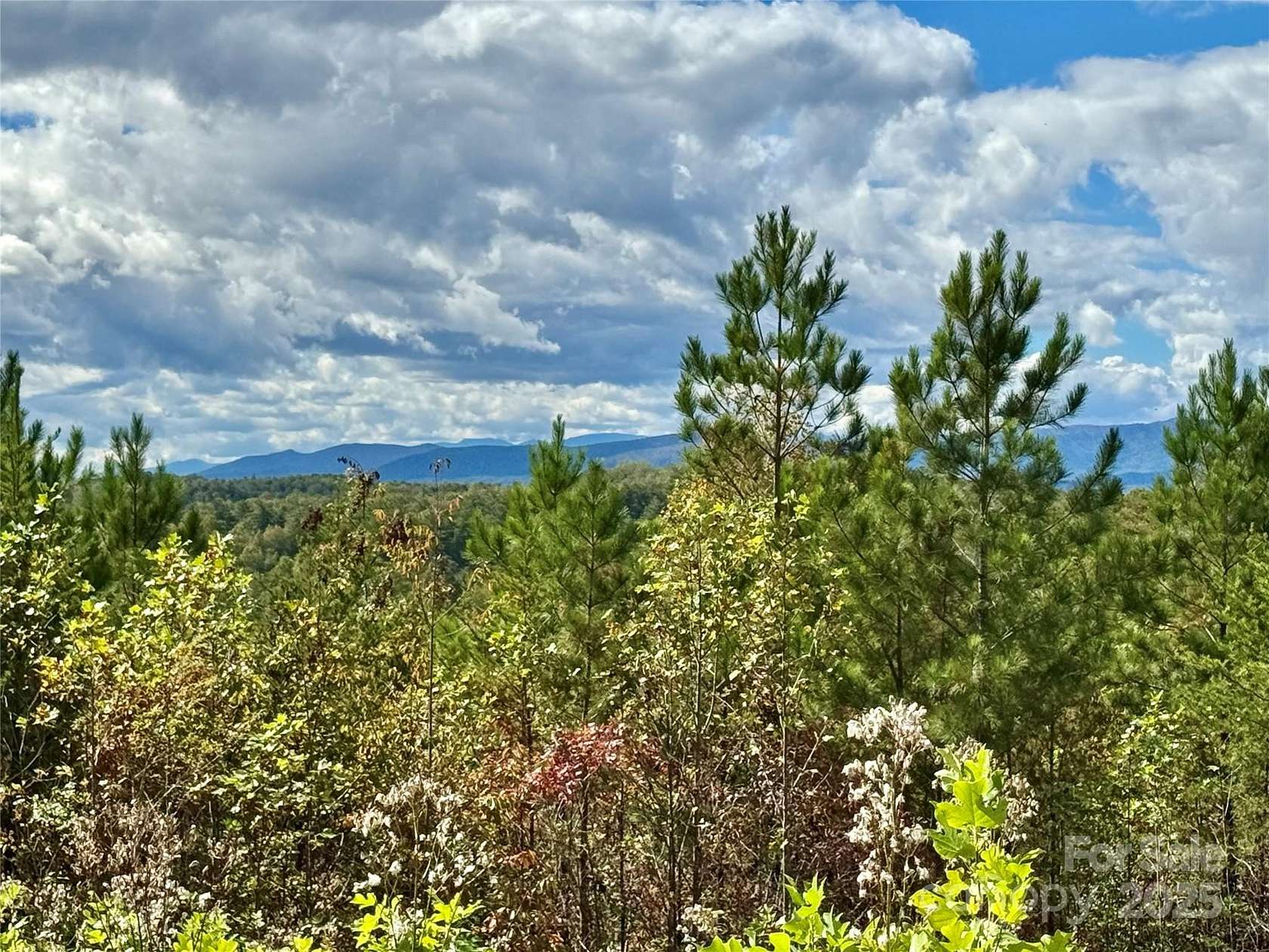 1.17 Acres of Residential Land for Sale in Lenoir, North Carolina ...