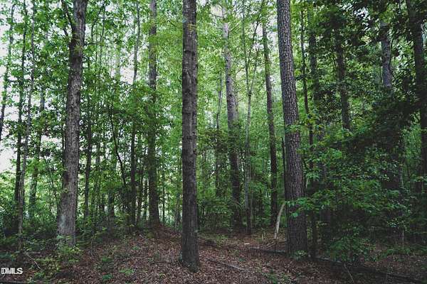 3.83 Acres of Residential Land for Sale in Spring Hope, North Carolina ...