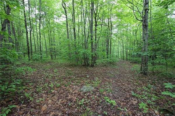 38 Acres of Land for Sale in Litchfield Town, Maine - LandSearch