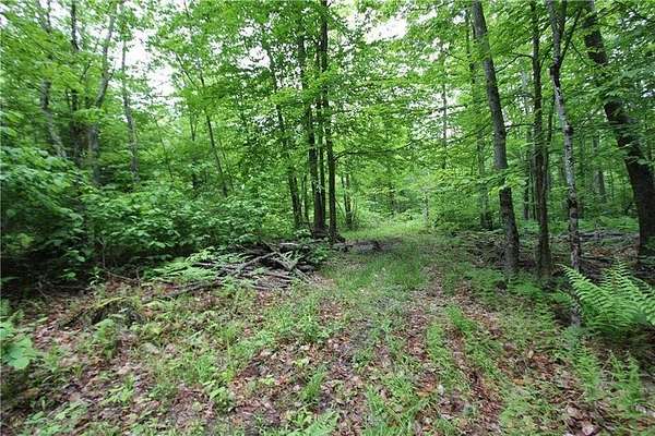 38 Acres of Land for Sale in Litchfield Town, Maine - LandSearch