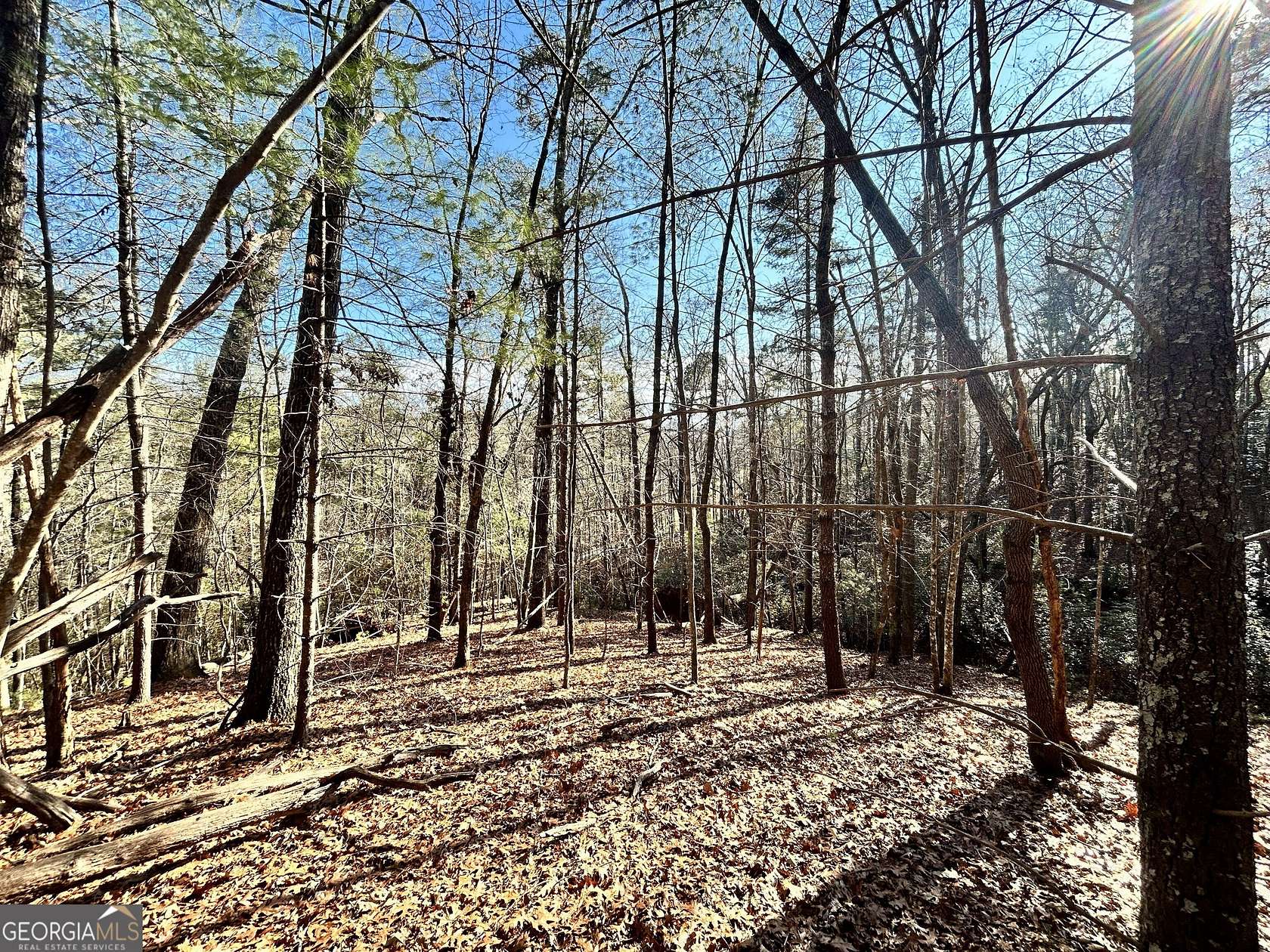 1.17 Acres of Residential Land for Sale in Helen, Georgia - LandSearch