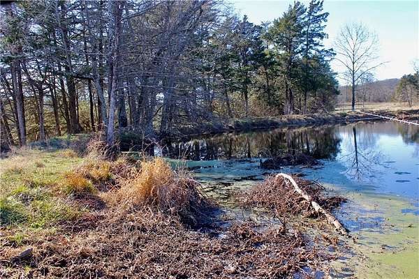 20.5 Acres of Land for Sale in Harrison, Arkansas - LandSearch