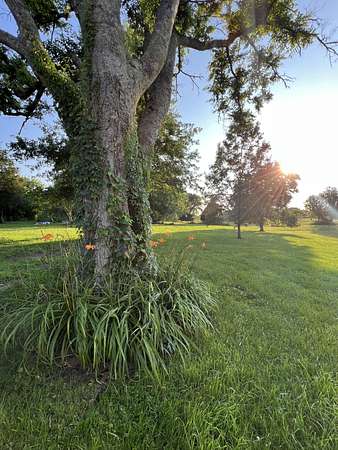 5 Acres of Residential Land for Sale in Castalian Springs, Tennessee ...