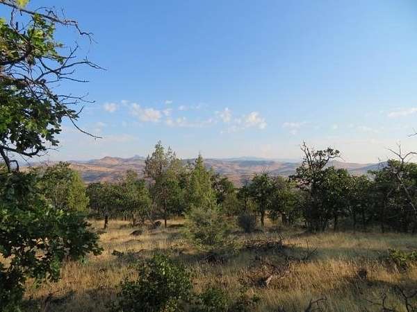 3 Acres of Residential Land for Sale in Hornbrook, California - LandSearch