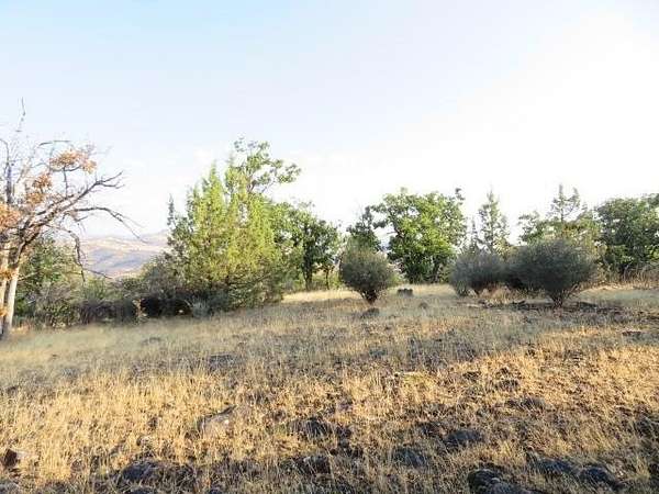 3 Acres of Residential Land for Sale in Hornbrook, California - LandSearch