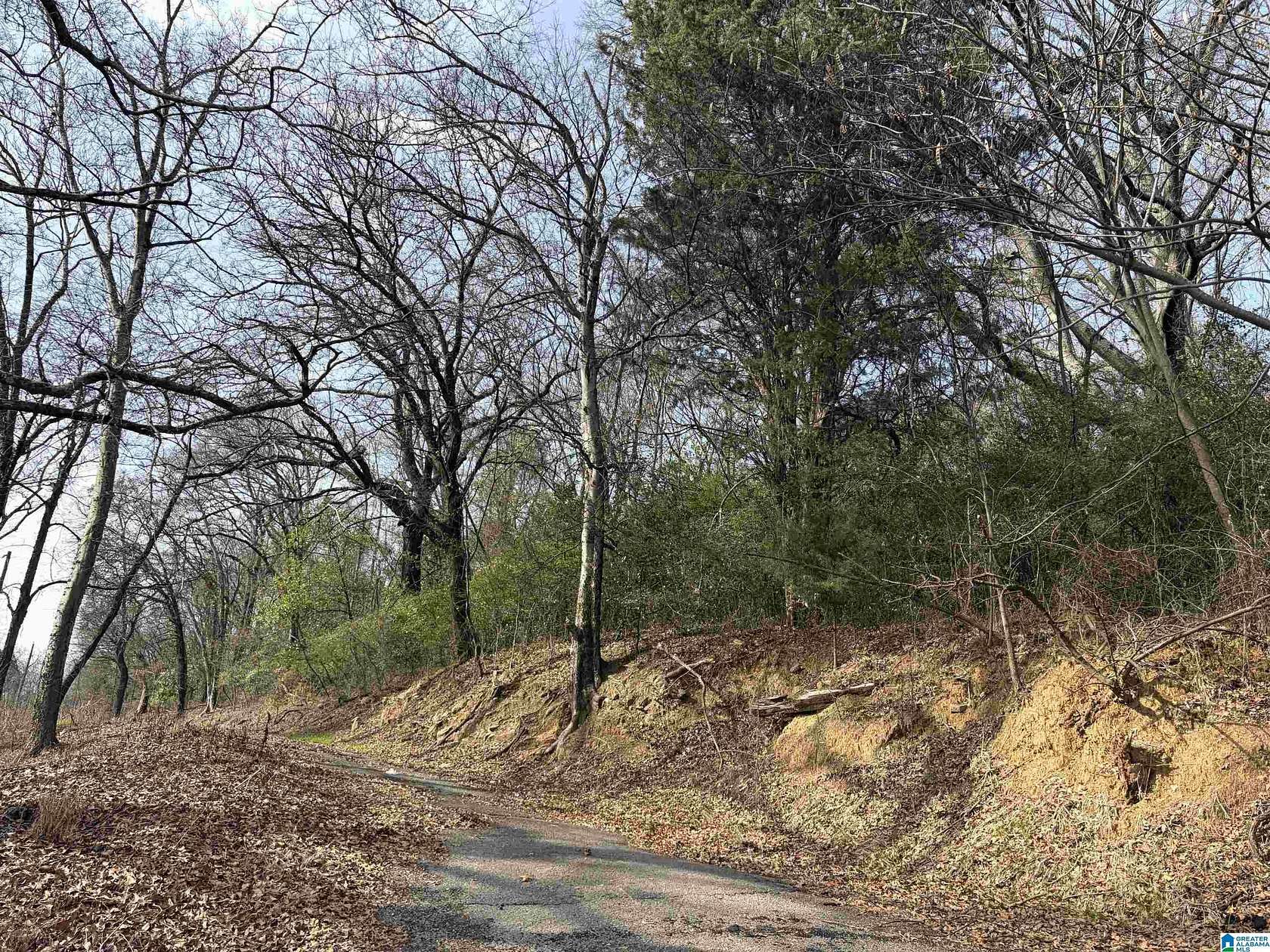 0.37 Acres of Land for Sale in Birmingham, Alabama - LandSearch