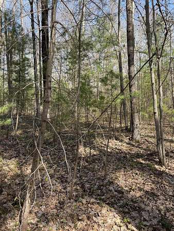 Land for Sale in Topinabee, Michigan - LandSearch