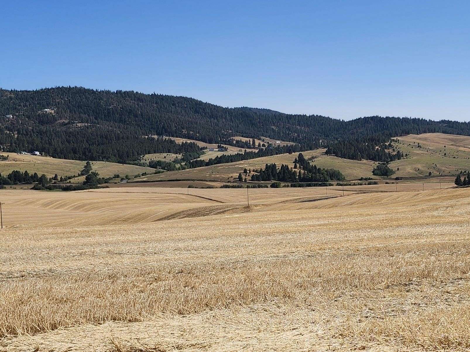 10 Acres of Residential Land for Sale in Mica, Washington - LandSearch