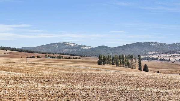 10 Acres of Residential Land for Sale in Mica, Washington - LandSearch