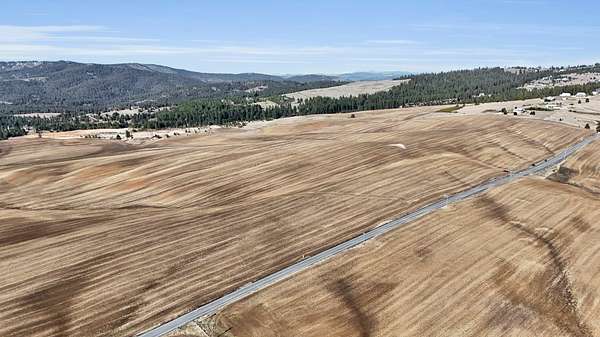 10 Acres of Residential Land for Sale in Mica, Washington - LandSearch