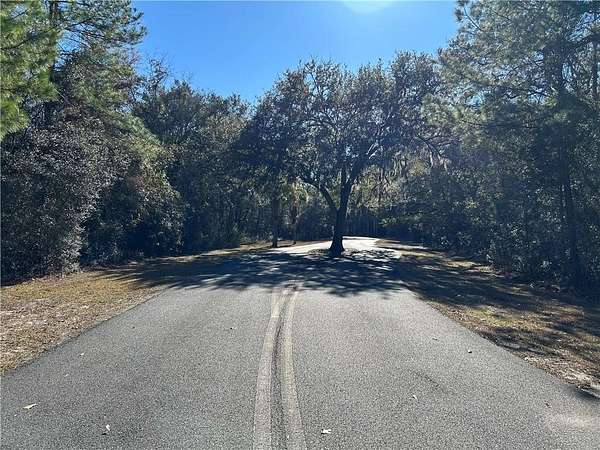 1.12 Acres of Residential Land for Sale in White Oak, Georgia - LandSearch