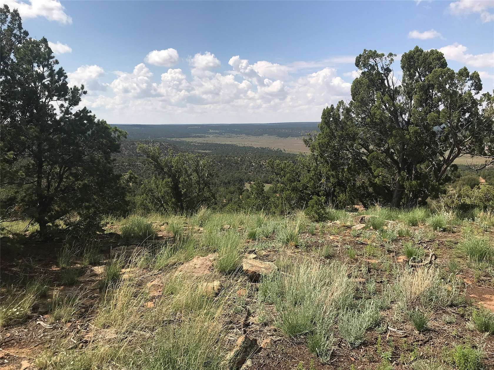 276 Acres of Land for Sale in Ilfeld, New Mexico - LandSearch