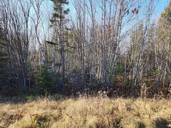1.76 Acres of Residential Land for Sale in Searsport, Maine - LandSearch