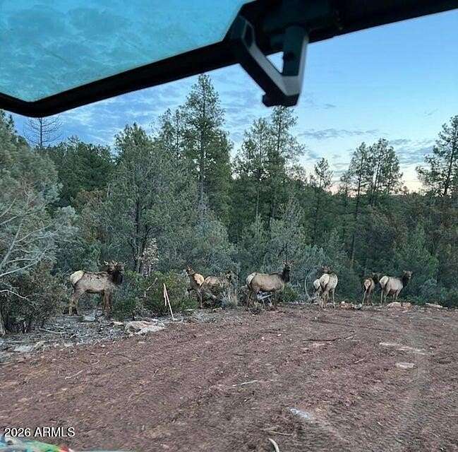 1.5 Acres of Residential Land for Sale in Pine, Arizona - LandSearch