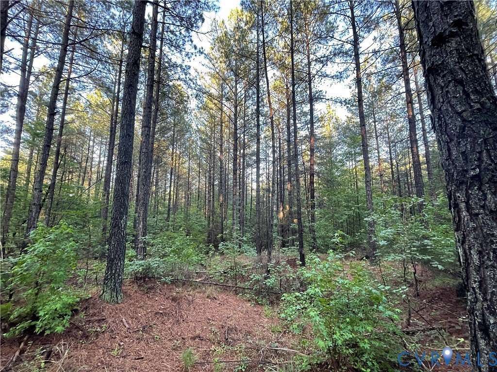 40 Acres of Recreational Land for Sale in Amelia Court House, Virginia ...