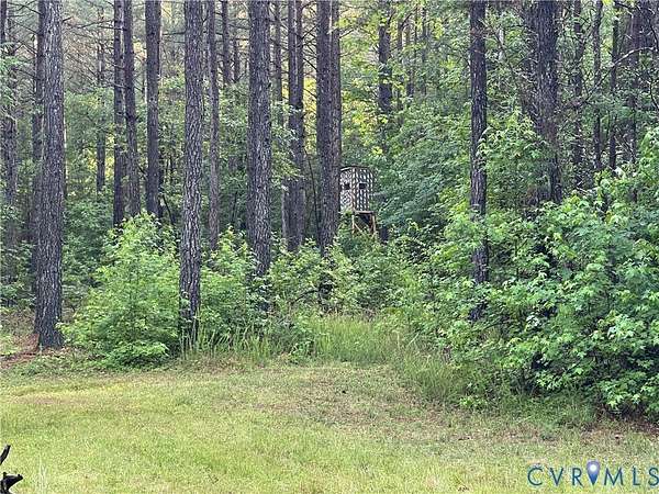 40 Acres of Recreational Land for Sale in Amelia Court House, Virginia ...