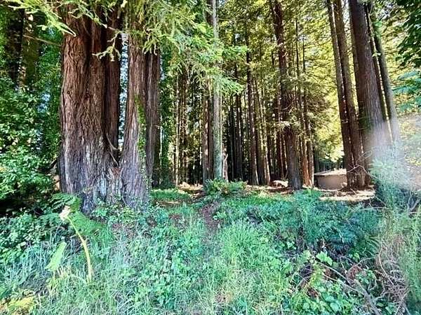 0.5 Acres of Residential Land for Sale in Eureka, California - LandSearch