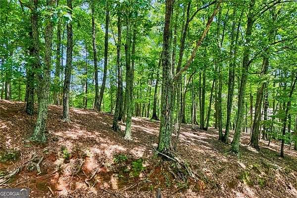 1 Acre of Residential Land for Sale in Big Canoe, Georgia - LandSearch