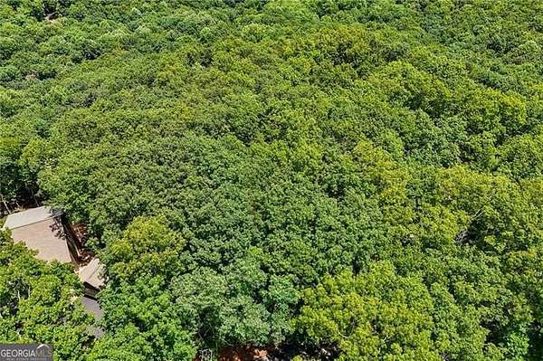 1 Acre of Residential Land for Sale in Big Canoe, Georgia - LandSearch