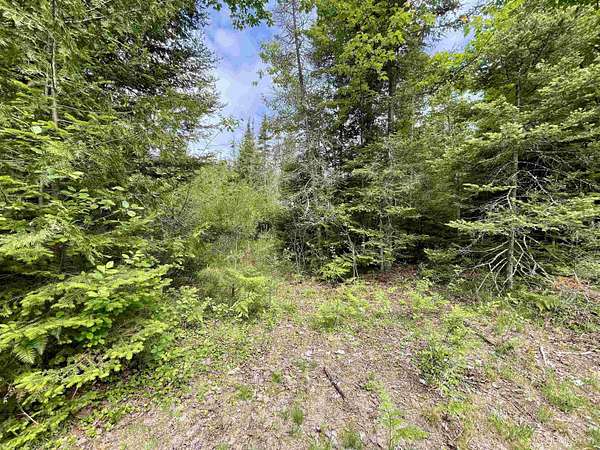 35 Acres of Recreational & Residential Land for Sale in Bark River ...