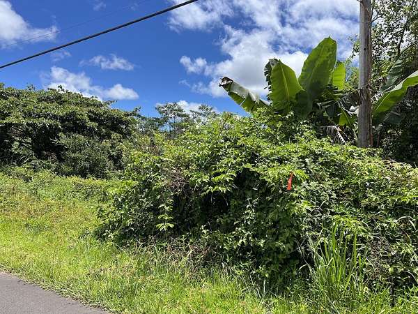 1 Acre of Land for Sale in Mountain View, Hawaii - LandSearch
