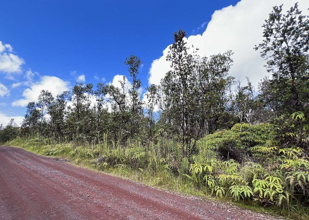 20 Acres of Recreational & Residential Land for Sale in Mountain View ...