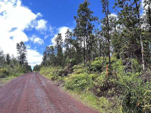 20 Acres of Recreational & Residential Land for Sale in Mountain View ...