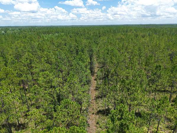 35 Acres of Recreational Land for Sale in Saint George, Georgia ...