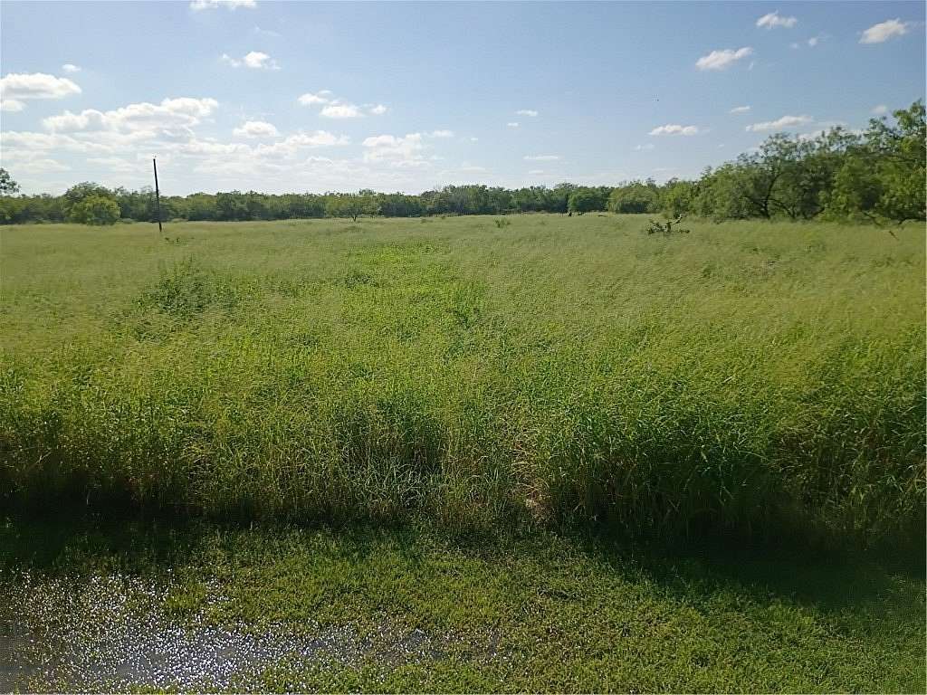3.88 Acres of Residential Land for Sale in Alice, Texas - LandSearch