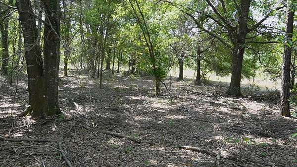 5 Acres of Land for Sale in Polk City, Florida - LandSearch