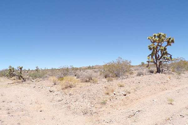 5.3 Acres of Land for Sale in White Hills, Arizona - LandSearch