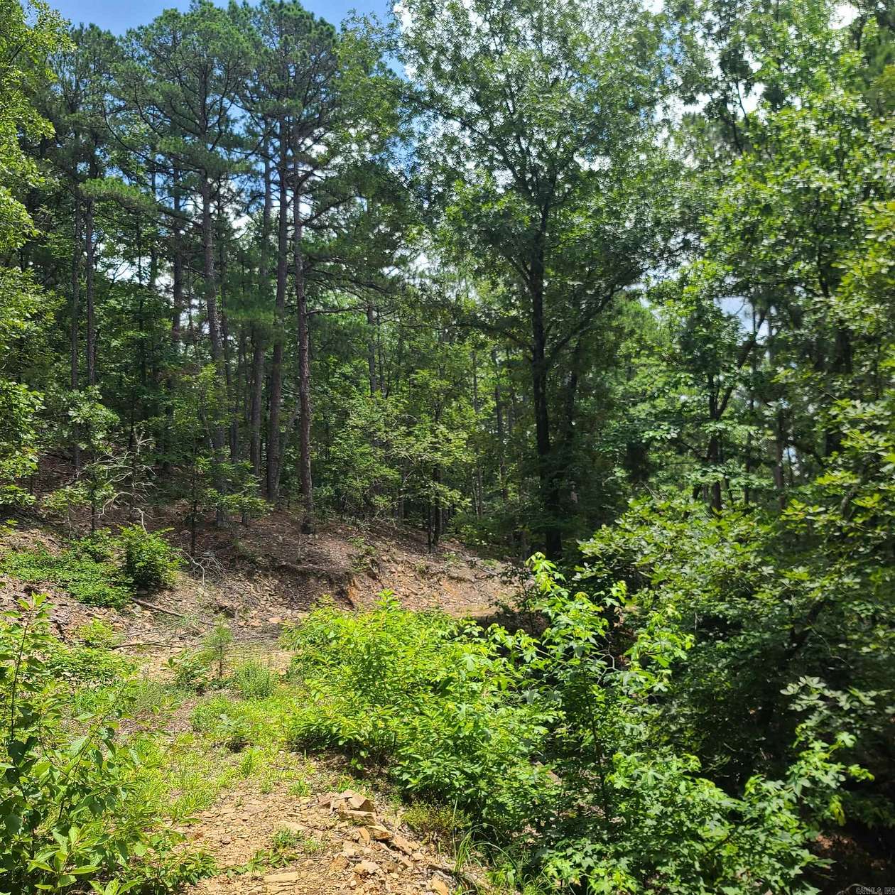 61 Acres of Recreational & Residential Land for Sale in Hot Springs ...