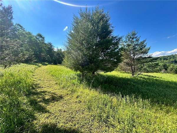 5.14 Acres of Residential Land for Sale in Laurens, New York - LandSearch