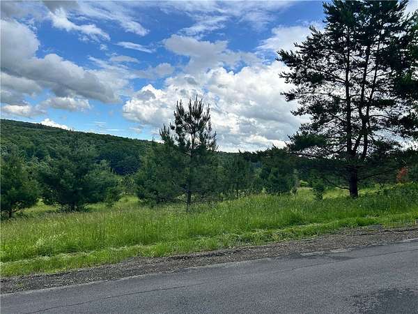 5.14 Acres of Residential Land for Sale in Laurens, New York - LandSearch