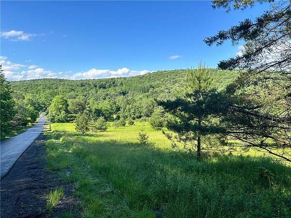 5.14 Acres of Residential Land for Sale in Laurens, New York - LandSearch