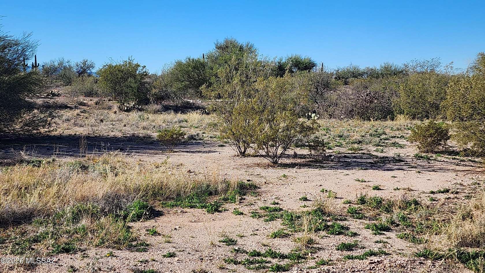 0.22 Acres of Land for Sale in Tucson, Arizona - LandSearch