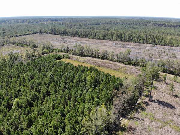 107 Acres of Land for Sale in Bamberg, South Carolina - LandSearch