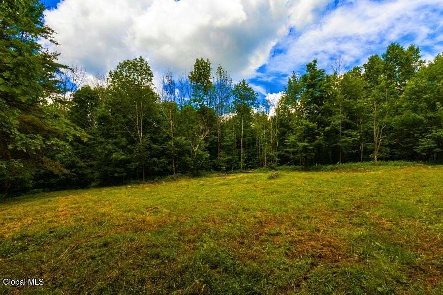 9.1 Acres of Residential Land for Sale in Broome Town, New York ...