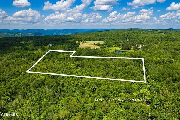 9.1 Acres of Residential Land for Sale in Broome Town, New York ...