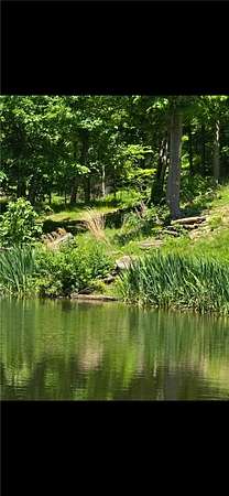 50 Acres of Agricultural Land with Home for Sale in Spring Church ...