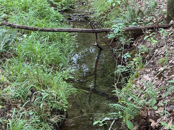 27 Acres of Recreational & Residential Land for Sale in Equality ...