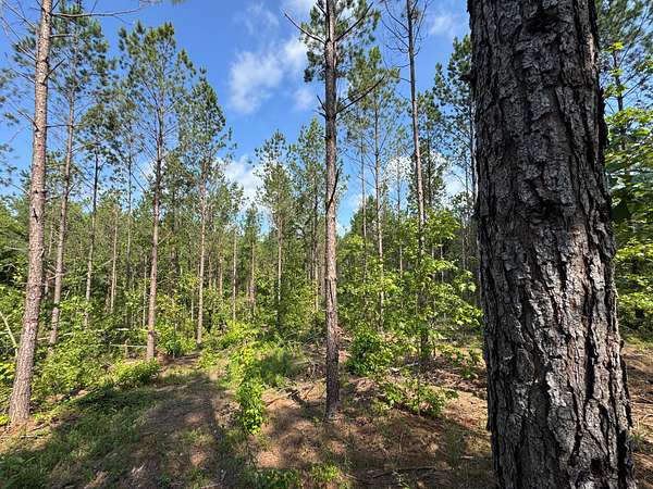 27 Acres of Recreational & Residential Land for Sale in Equality ...