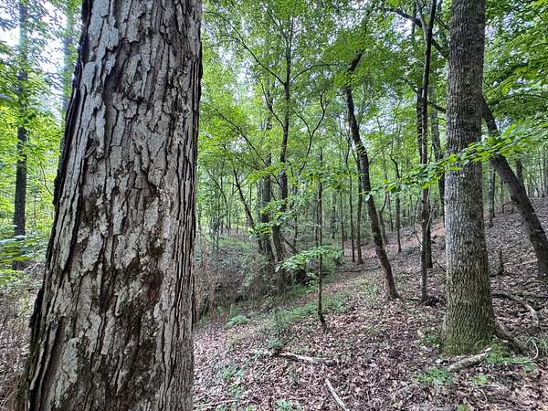 27 Acres of Recreational & Residential Land for Sale in Equality ...