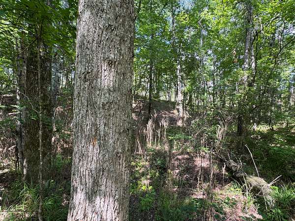 27 Acres of Recreational & Residential Land for Sale in Equality ...