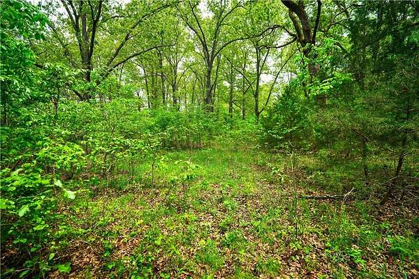 1 Acre of Land for Sale in Elizabeth, Arkansas - LandSearch