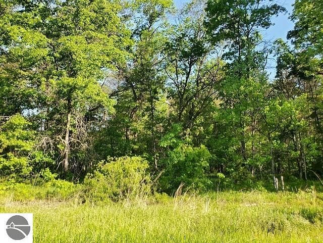 39 4 Acres Of Recreational Land For Sale In Alger Michigan Landsearch
