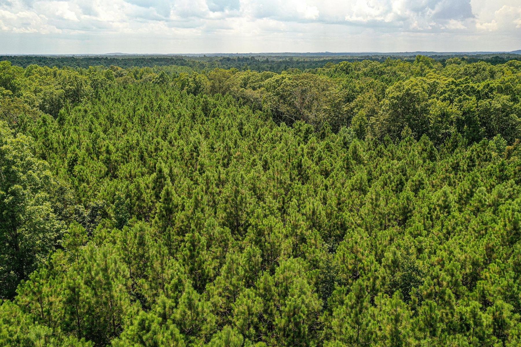 81 Acres of Recreational Land for Sale in Noxapater, Mississippi ...