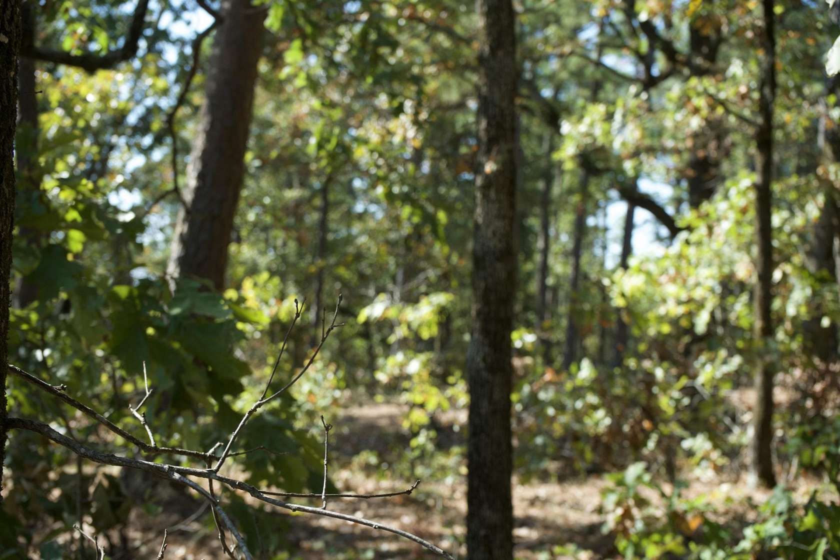 517 Acres of Recreational Land & Farm for Sale in Moyers, Oklahoma ...