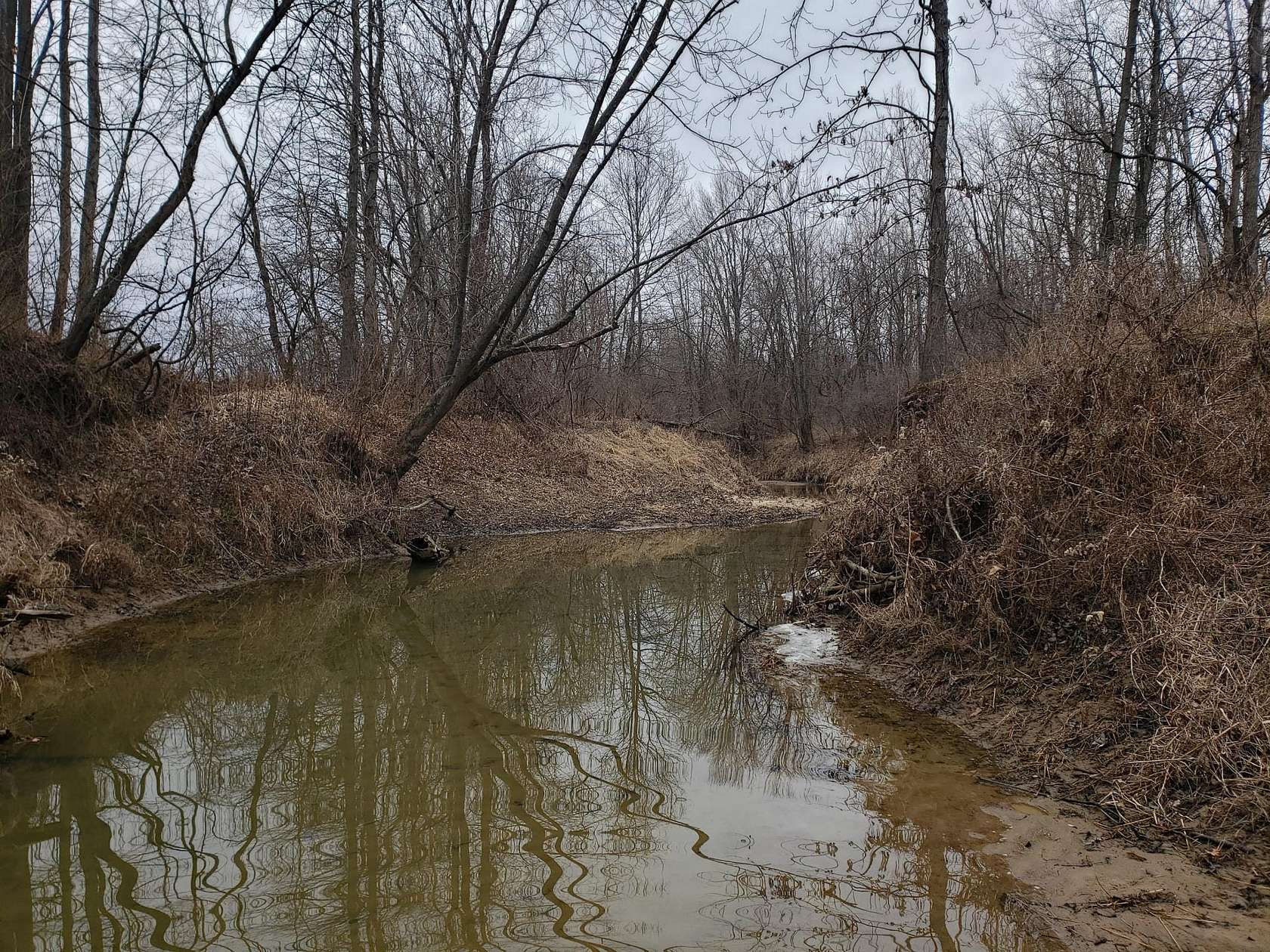 43 Acres of Recreational Land for Sale in Cory, Indiana - LandSearch